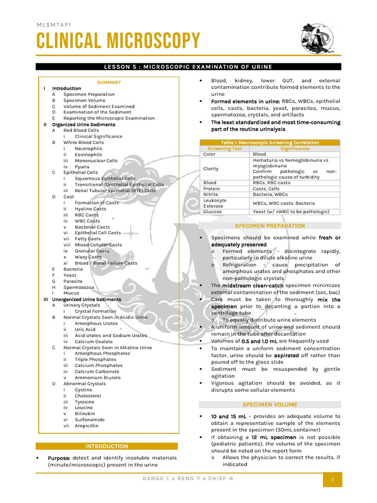 Microscopic Urine Examination Guide | PDF | White Blood Cell | Organ ...
