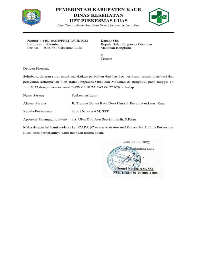 Capa Bpom PKM Luas | PDF