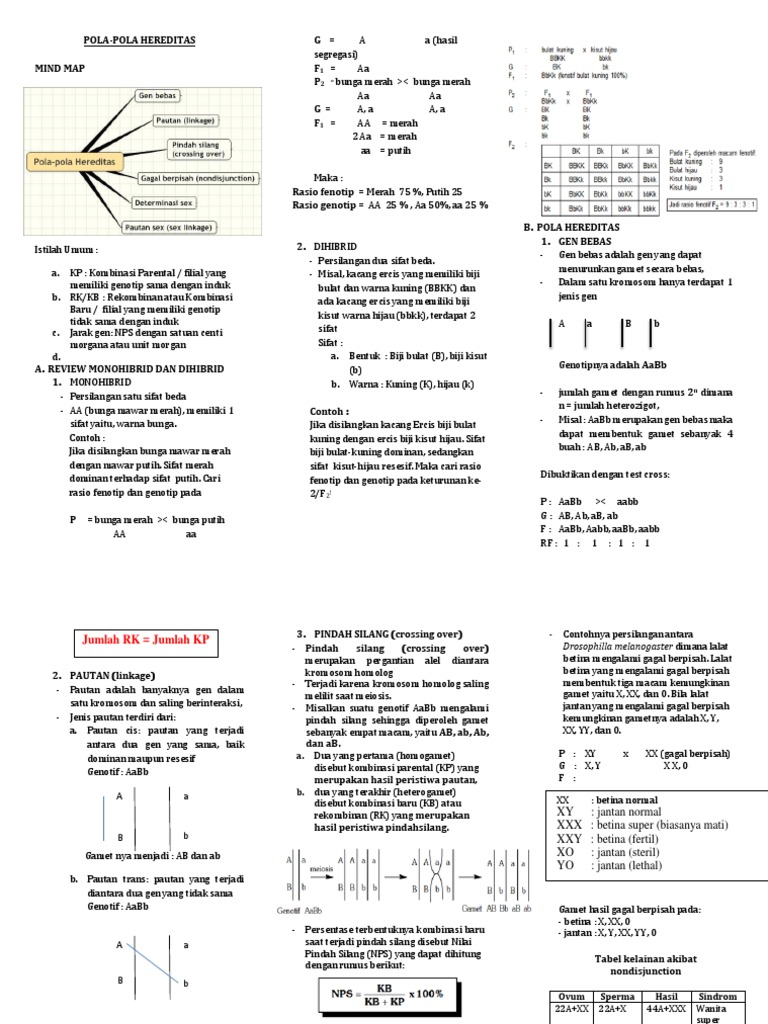 Pola Pola Hereditas | PDF