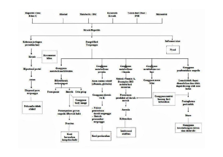 Pathway Asites | PDF