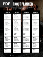 Nightwing 5 Day Workout Plan | PDF