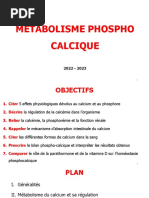Le Globule Rouge | PDF | Globule rouge | Membrane cellulaire