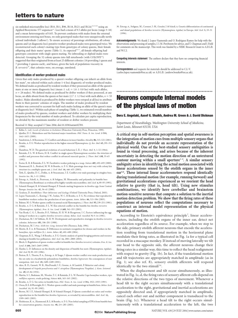 24 Angelaki Nature 2004 | PDF | Bumblebee | Acceleration