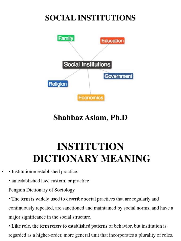 Social Institutions | PDF | Institution | Social Alienation