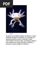 Ajolote Mexicano | PDF