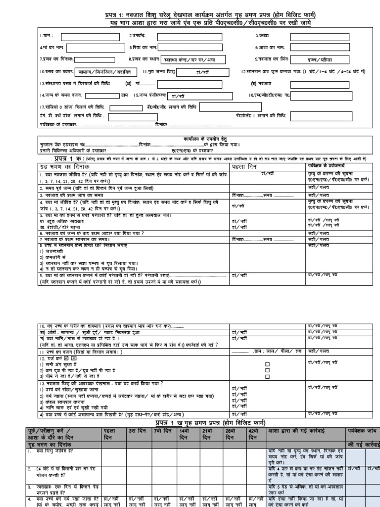 HBNC Home Visit Format | PDF