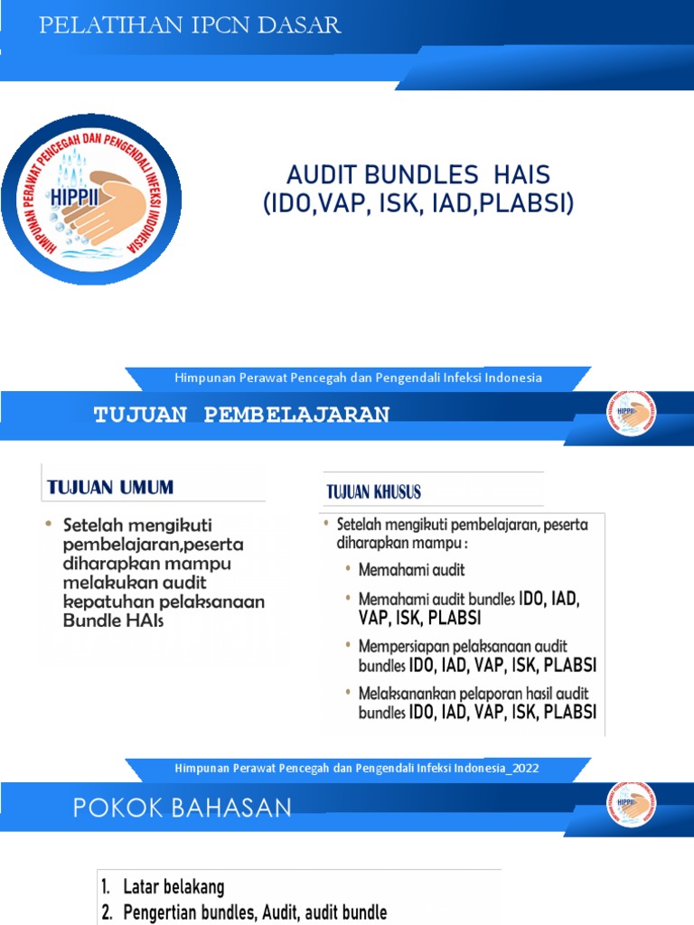 Audit Bundle Hai S Hippii 2022 | PDF | Sains & Matematika