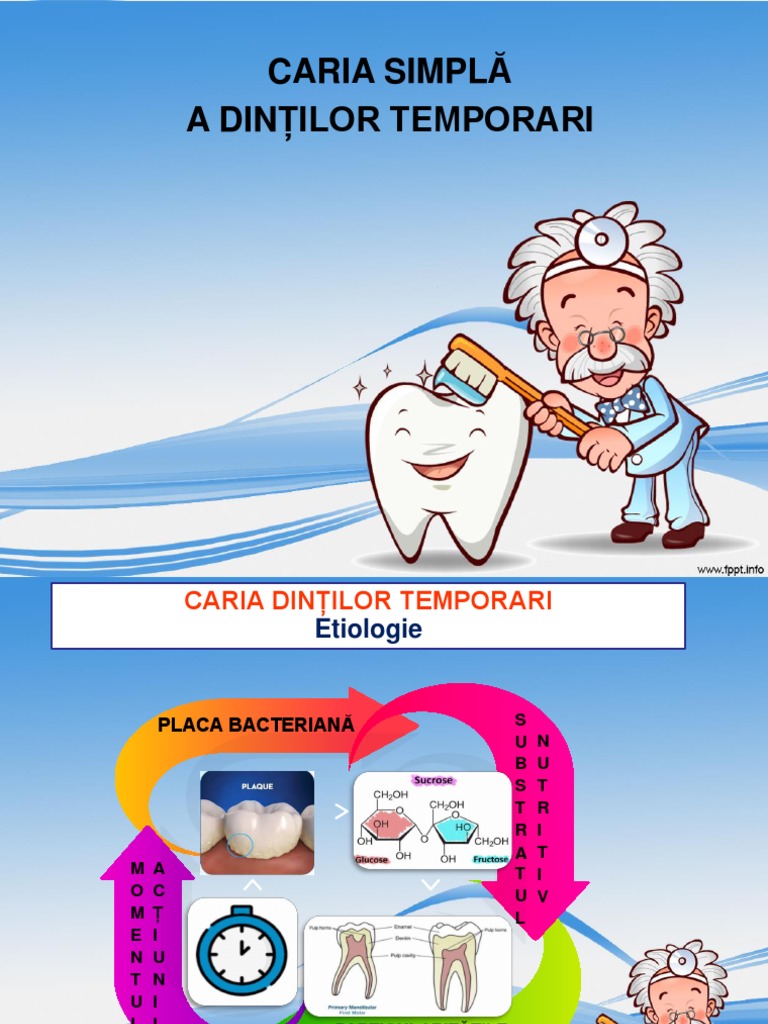 LP 1 Caria DT 202 | PDF