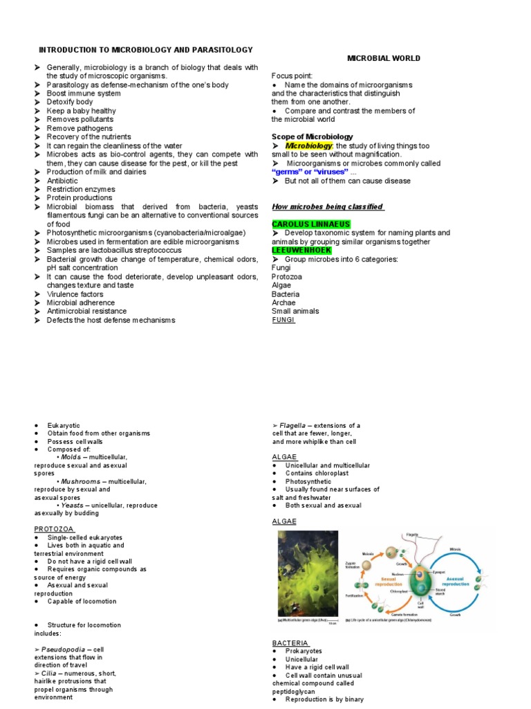 Micro para | PDF | Microorganism | Cell (Biology)