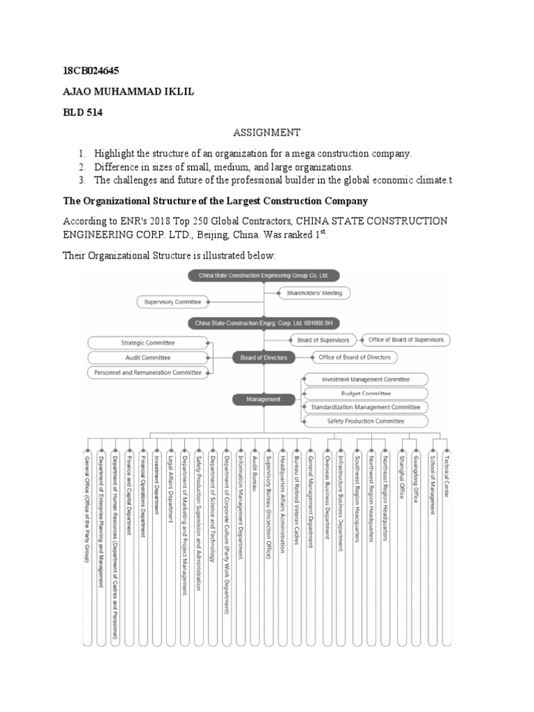 18CB024645 Ajao Muhammad Organizational Structure | PDF ...