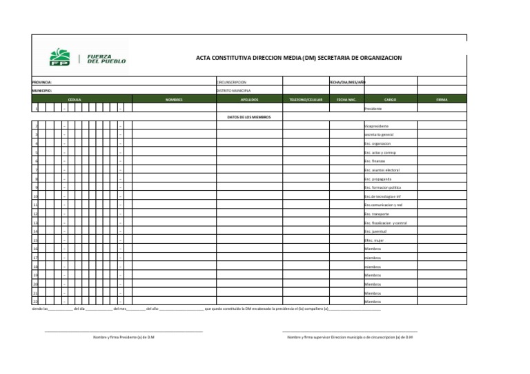 Formulario Mami | PDF | Gobierno | Elecciones