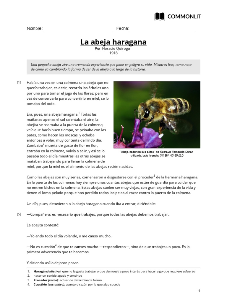6o - La Abeja Haragana | PDF