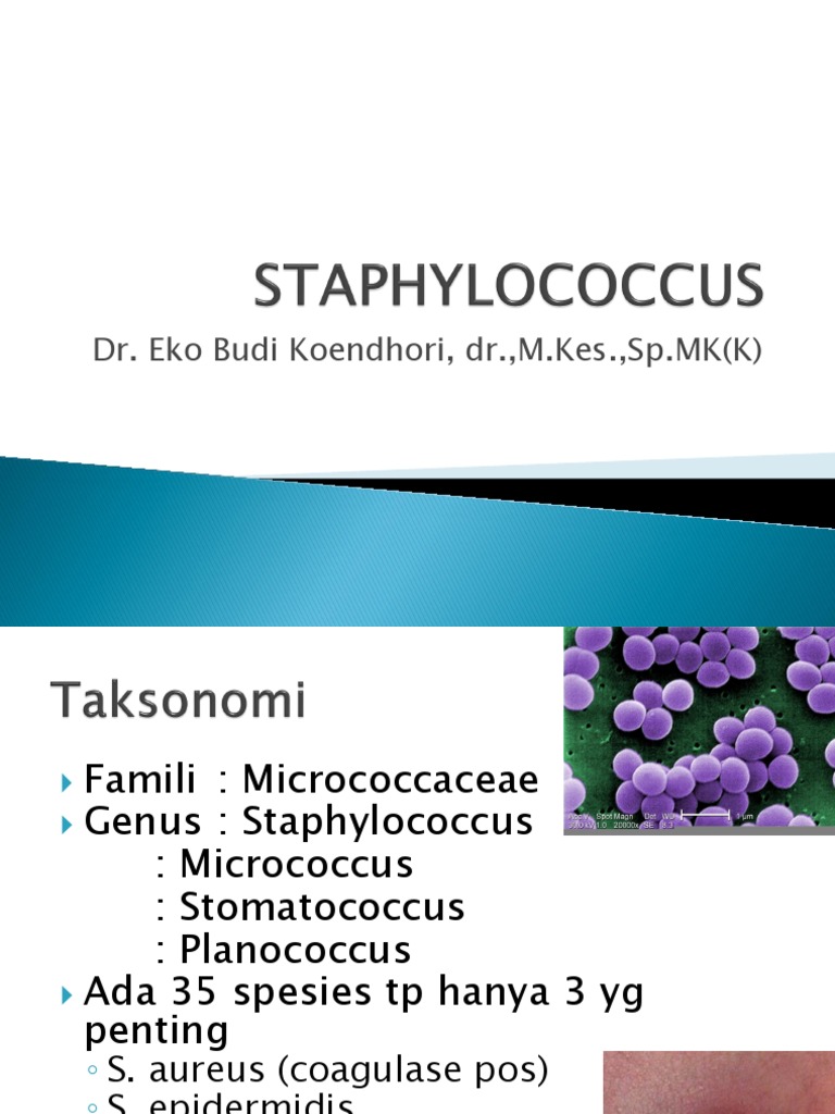 Karakteristik dan Infeksi Staphylococcus | PDF