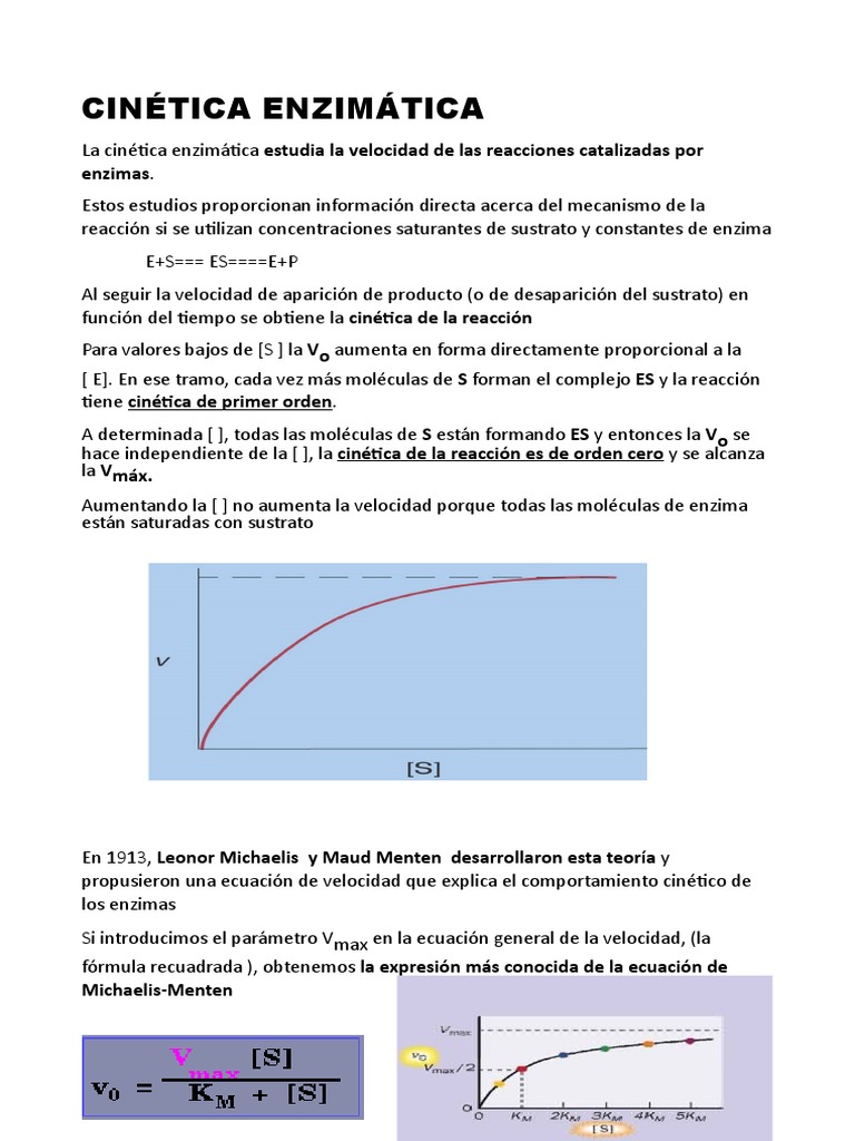 Cinética Enzimática | PDF