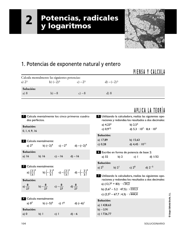 Potencias Radicales y Logaritmos | PDF | Aritmética | Funciones especiales