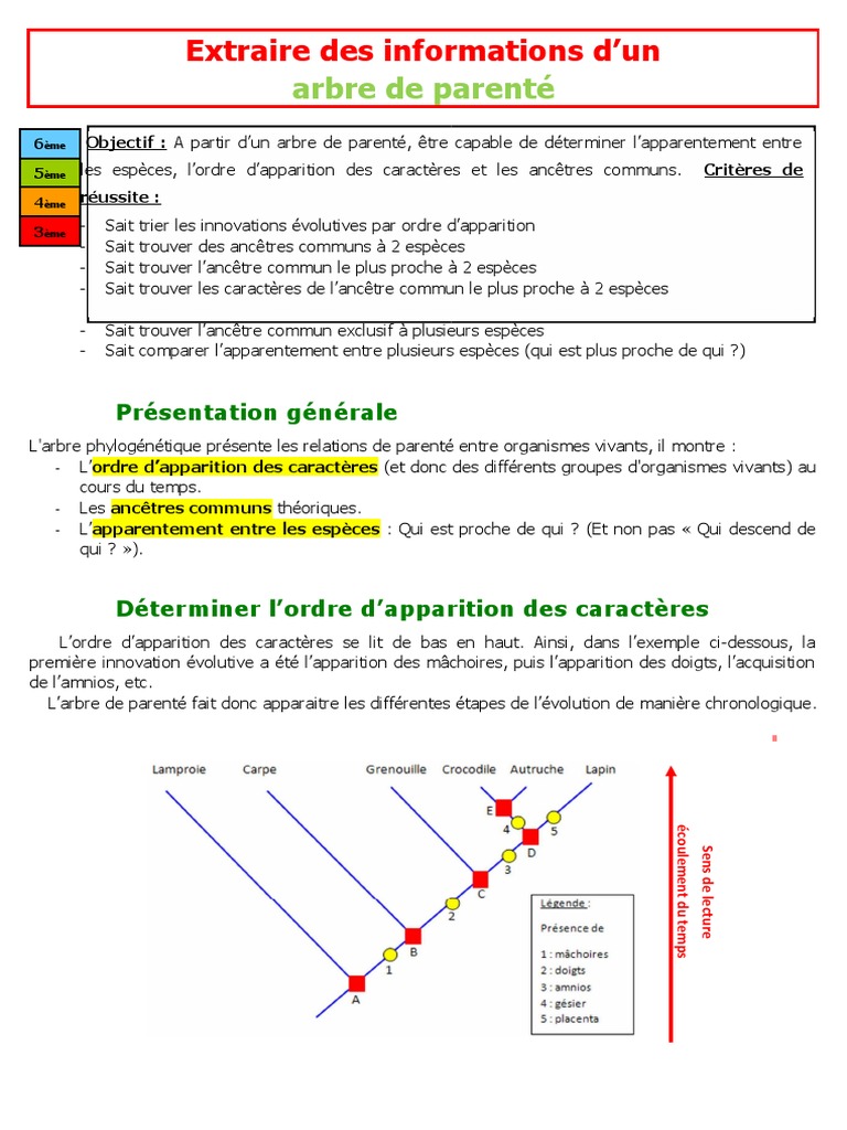 Extraire Des Informations D'un Arbre de Parenté | PDF