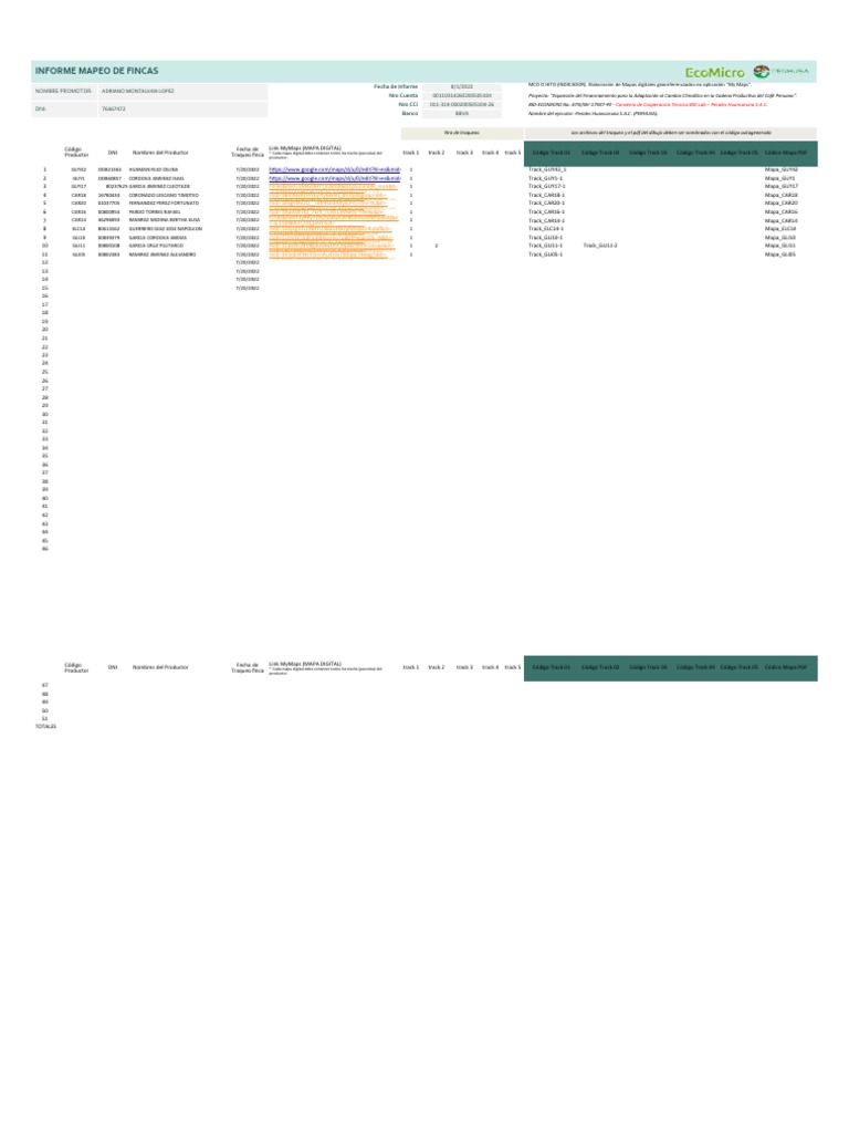 Informe Mapeo - Moyobamba - Ana Roxana Medina Diaz | PDF