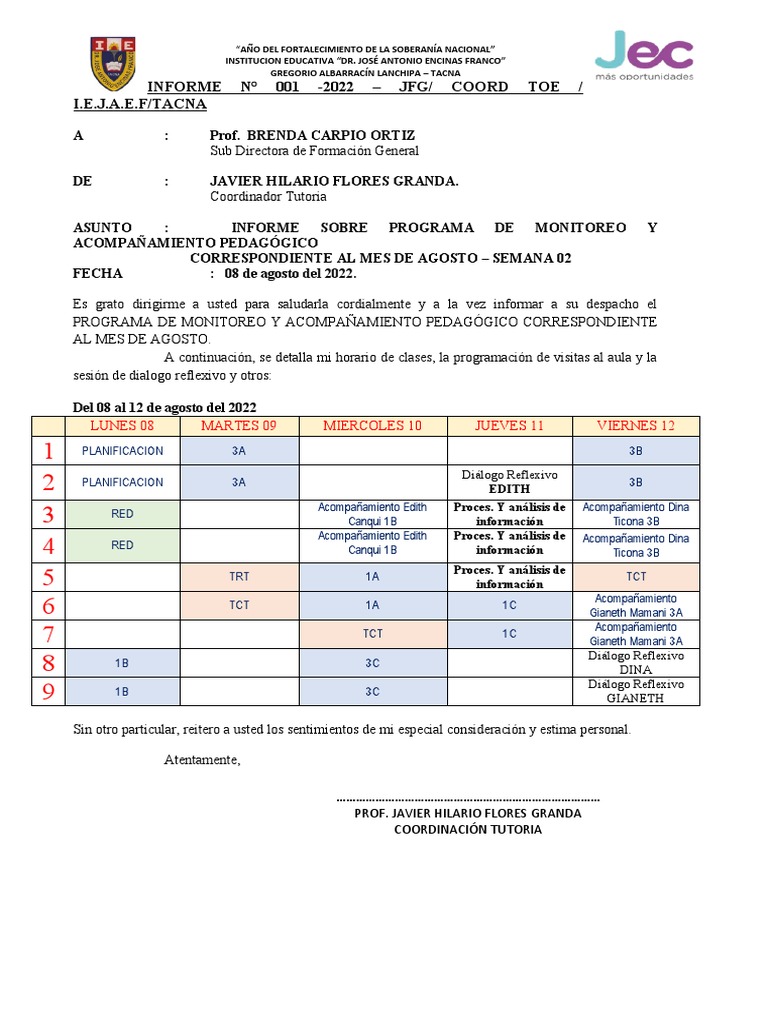 1er Informe 17-Coord Toe | PDF