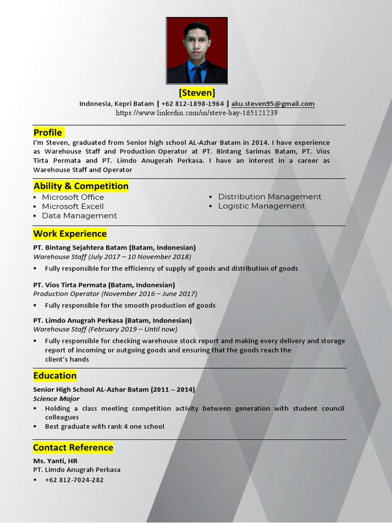 Steve CV English | PDF