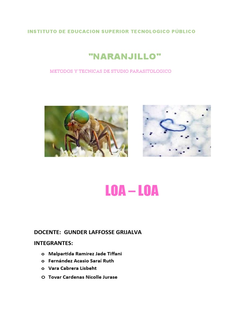 Loa Loa | PDF | Sistema reproductivo | Especialidades Medicas