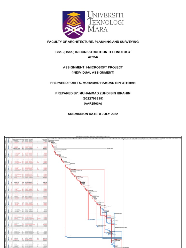 Microsoft Project Assignment Submission | PDF | Materials | Real Estate