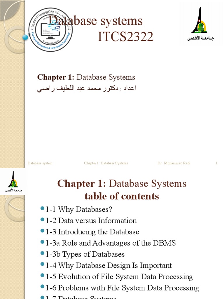 Chapter 1 Database Systems Download Free Pdf Databases Data Model