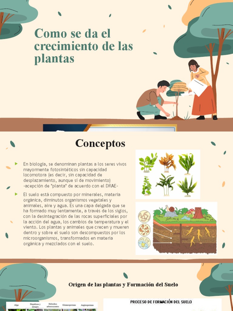 Crecimiento y necesidades de las plantas | PDF | Ciencia y matemáticas