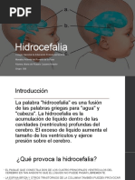 Termogenesis y Termolisis PDF | PDF | Agua | Termorregulación