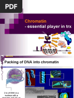 ProTox-3.0 - Prediction of TOXicity of Chemicals | PDF | Receptor ...