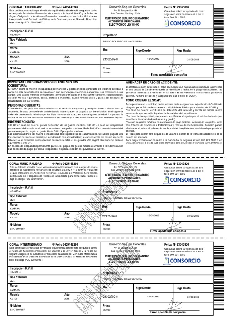 Certificado Seguro Obligatorio Accidentes Personales Electronico Ley 18 ...