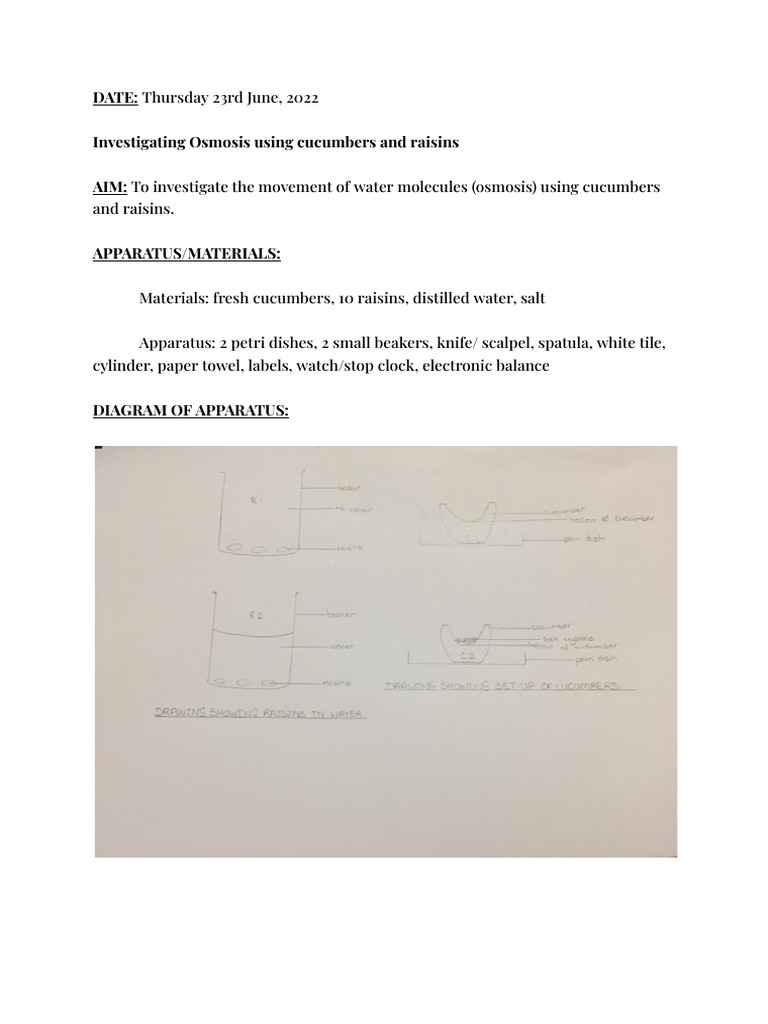 Osmosis Pdf Osmosis Chemistry