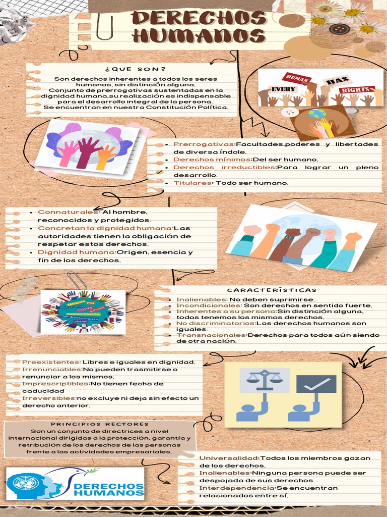 Infografía Derechos Humanos. | PDF