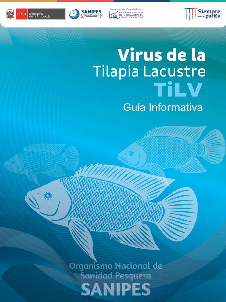 Guía Informativa de TilV | PDF