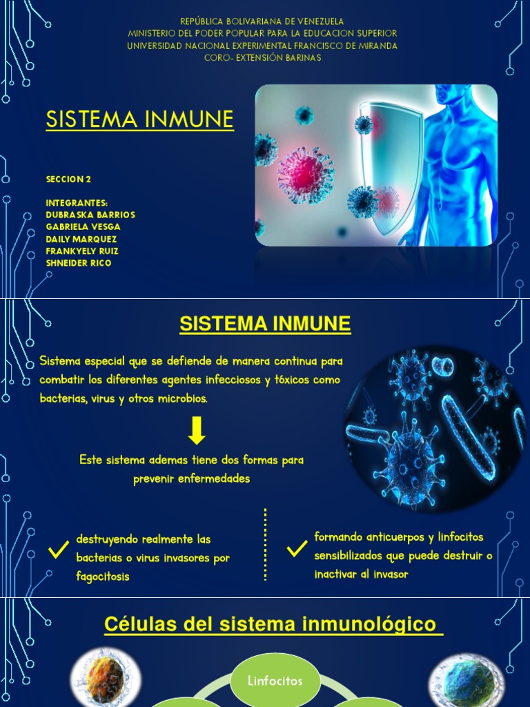 INMUNIDAD | PDF | Linfocitos | Sistema inmune