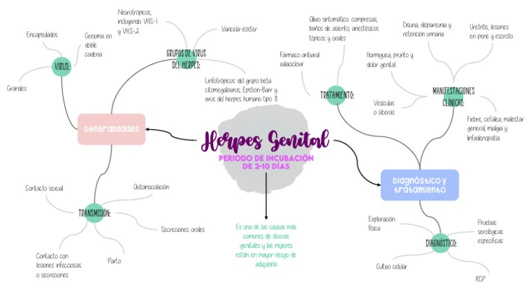 Mapa Mental 5 | PDF | Herpes Simple | Especialidades Medicas