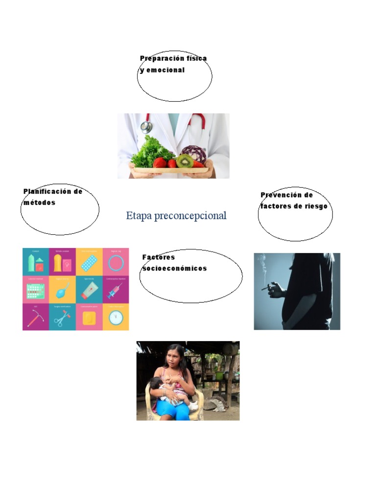 Etapa Preconcepcional | PDF