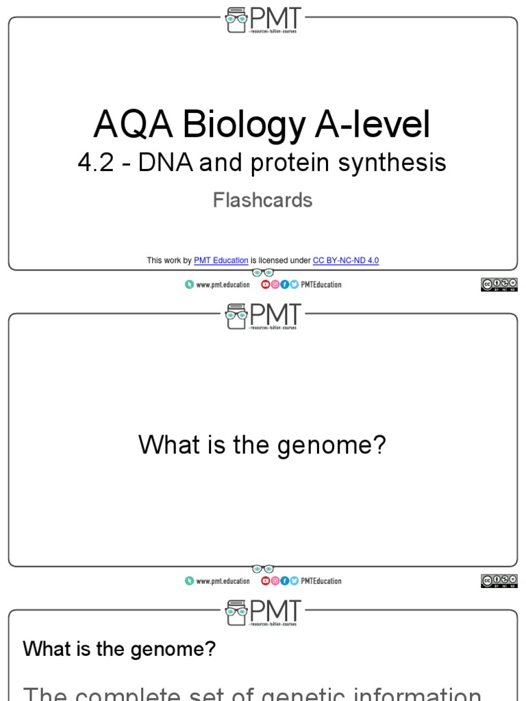 4.2 Dna and Protein Synthesis Flashcards | PDF | Translation (Biology ...