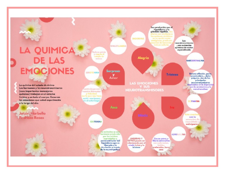 Infografia La Quimica de Las Emociones | PDF