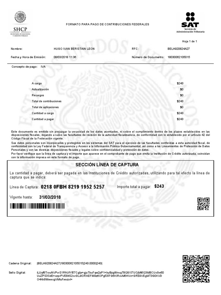 Reporte Cont Federal Rif | PDF | Privacidad de la información | Justicia