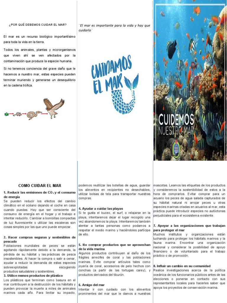 POR QUÉ DEBEMOS CUIDAR EL MAR | PDF