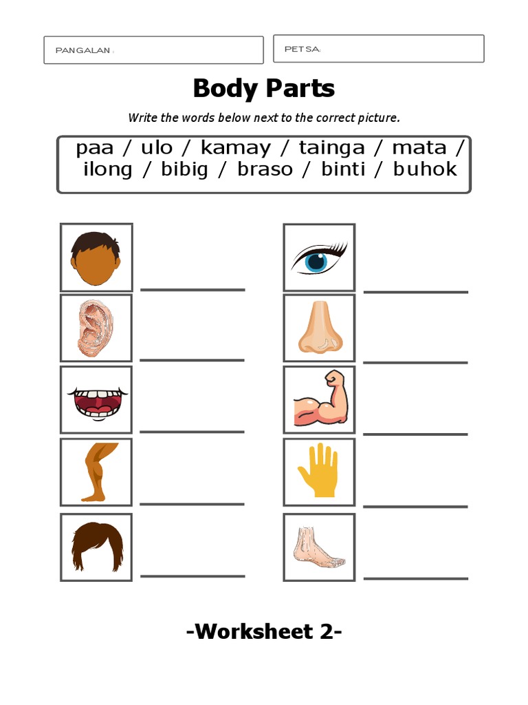 Body-Parts-Worksheet 2 | PDF