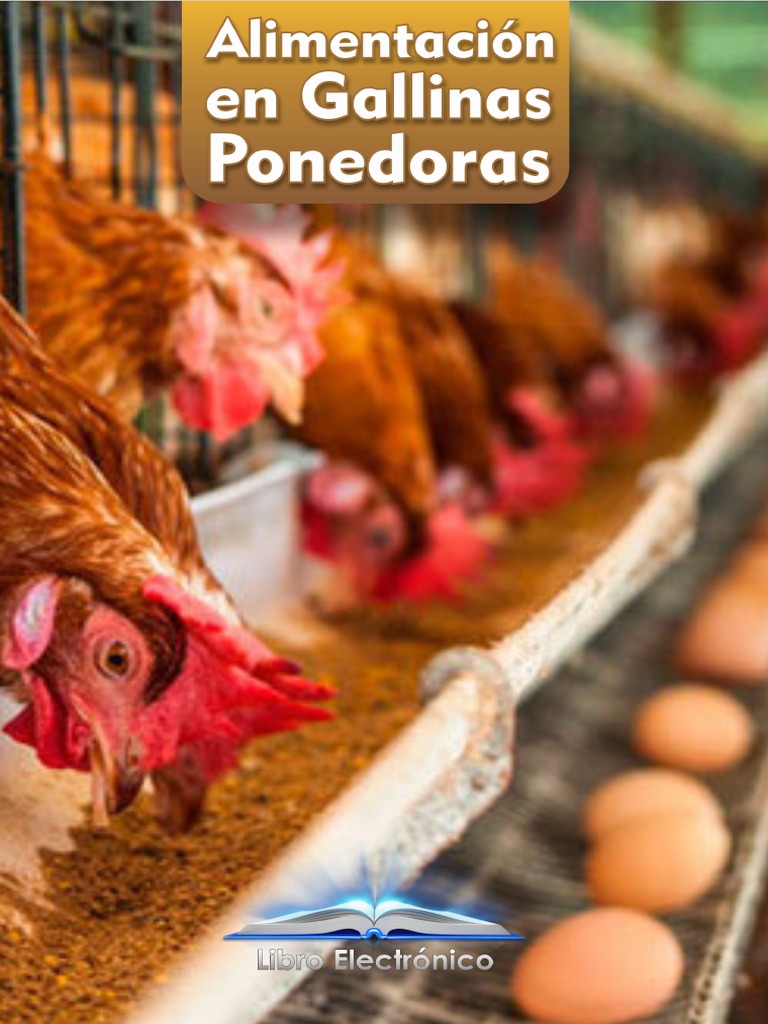 Alimentación en Gallinas Ponedoras | PDF | La alimentación animal ...