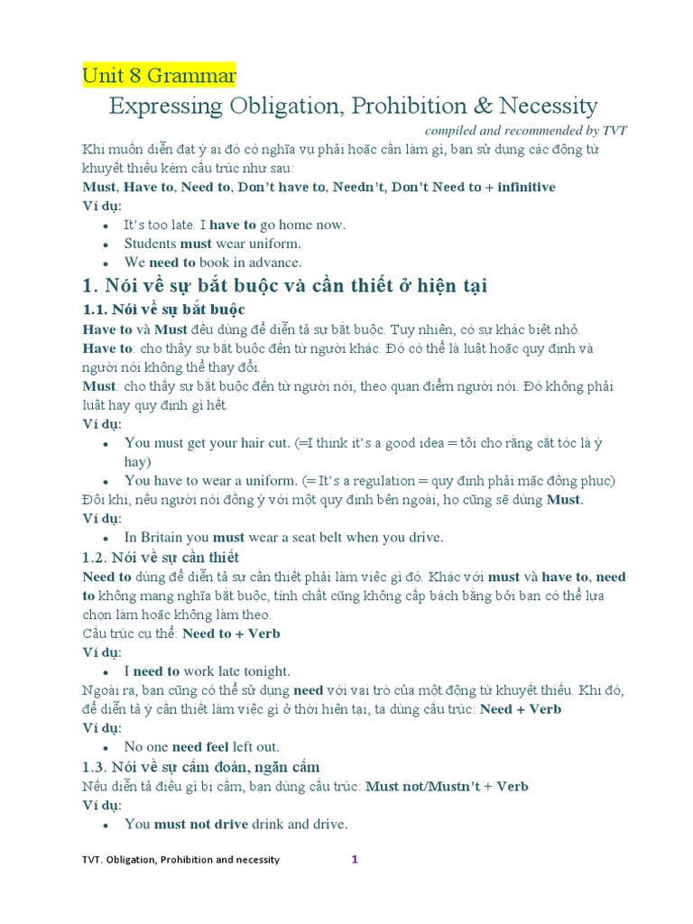 Unit 8 Grammar | PDF