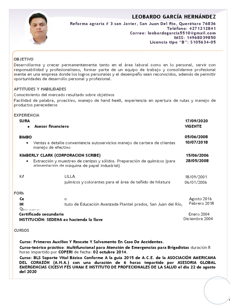 CV Leo Actualizado | PDF