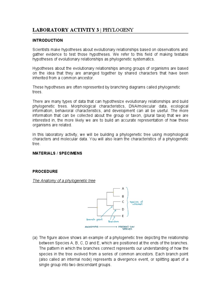 Lab 3 | PDF | Phylogenetic Tree | Mathematical And Theoretical Biology