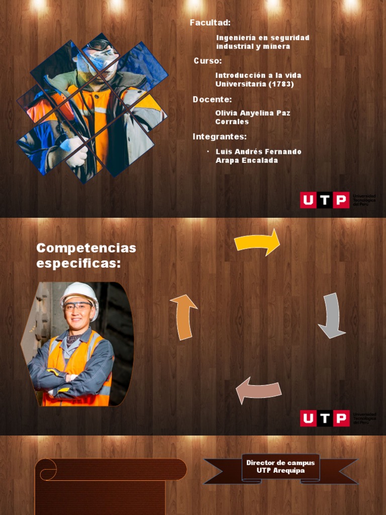 Ing Seguridad Industrial POWER POINT | PDF | Valores | Universidad