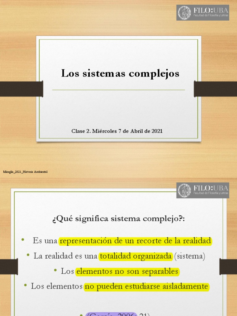 7 - 4 - Sistemas Complejos | PDF | Sistema | Entorno natural
