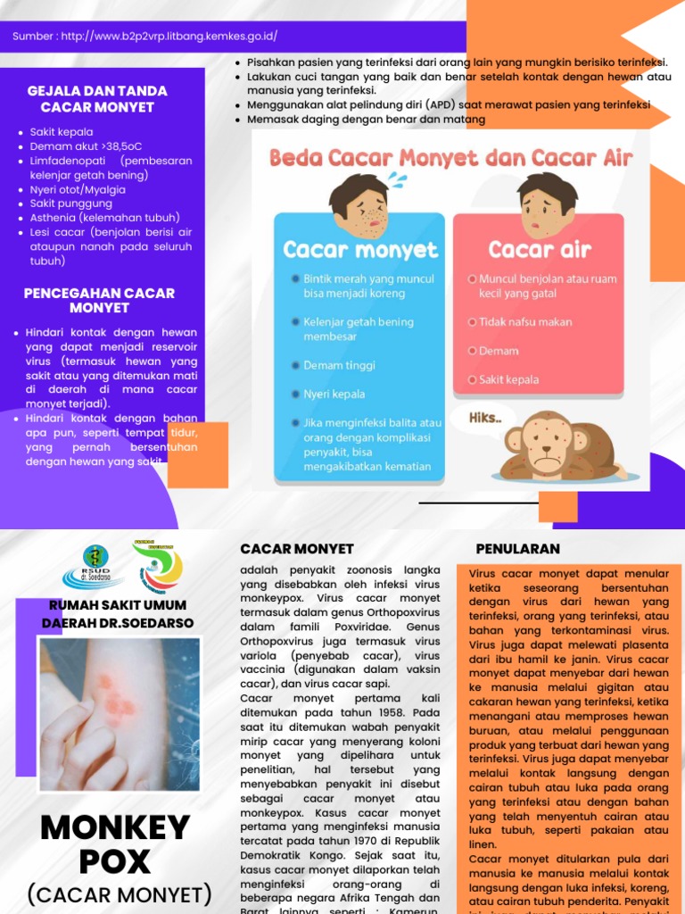 Leaflet Monkey Pox | PDF