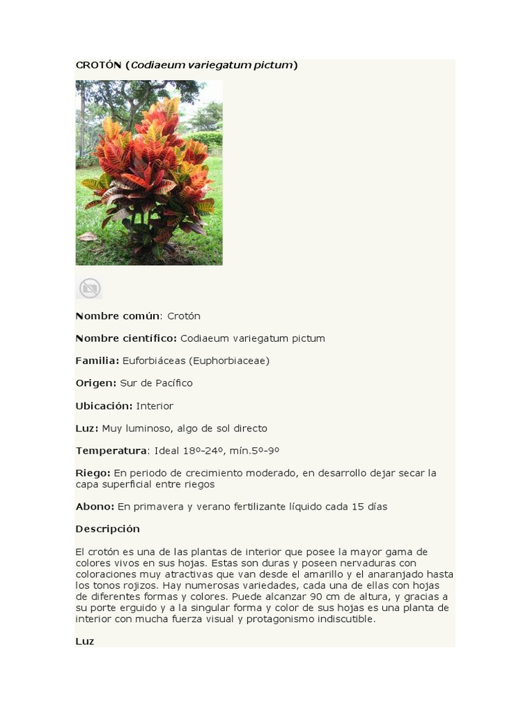 CROTÓN | PDF