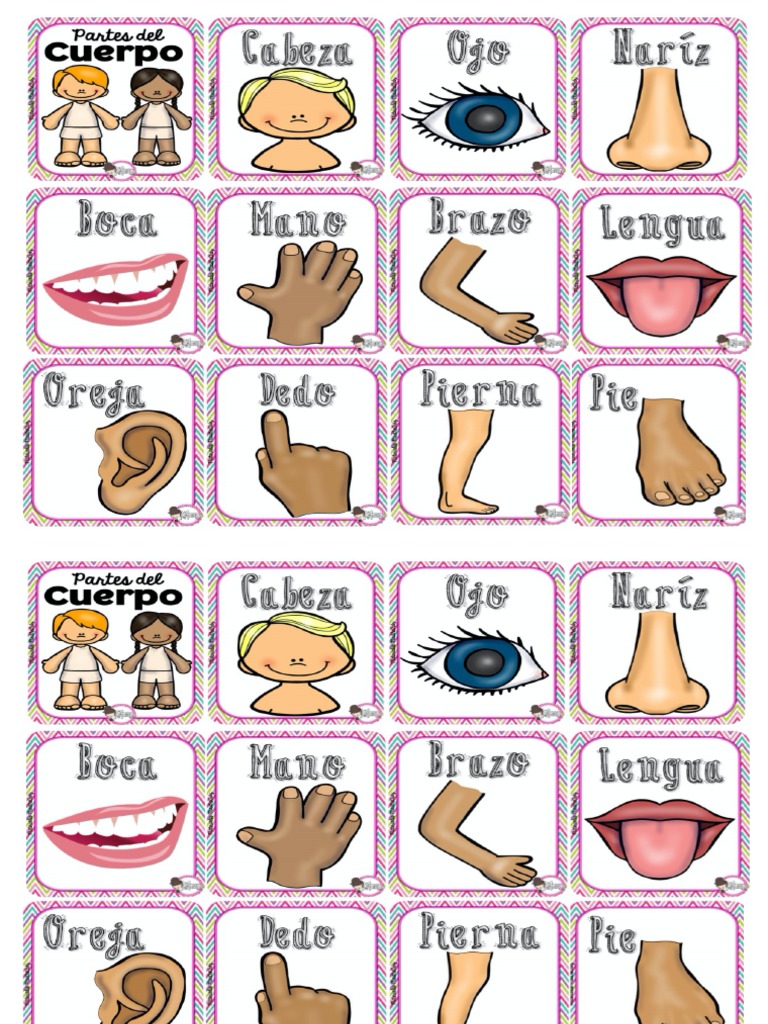 Memorama Las Partes Del Cuerpo | PDF